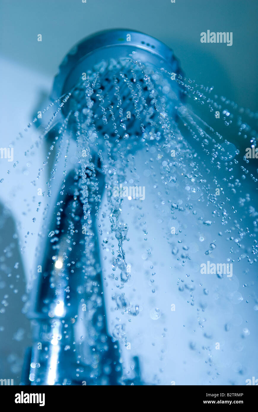 shower head with jets of water Stock Photo - Alamy