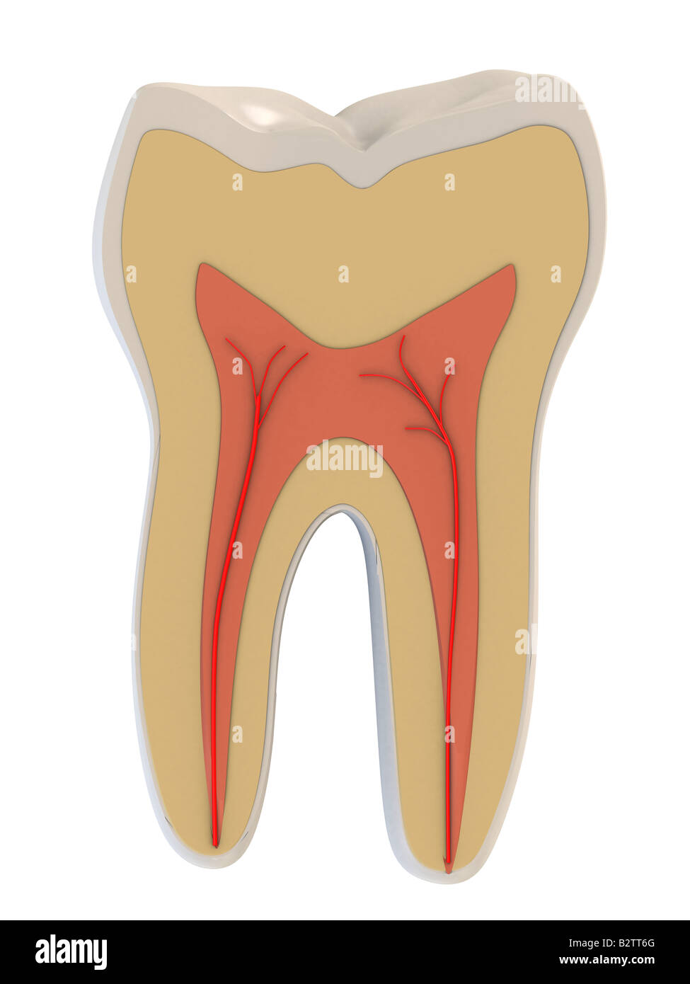 Human profile hi-res stock photography and images - Alamy