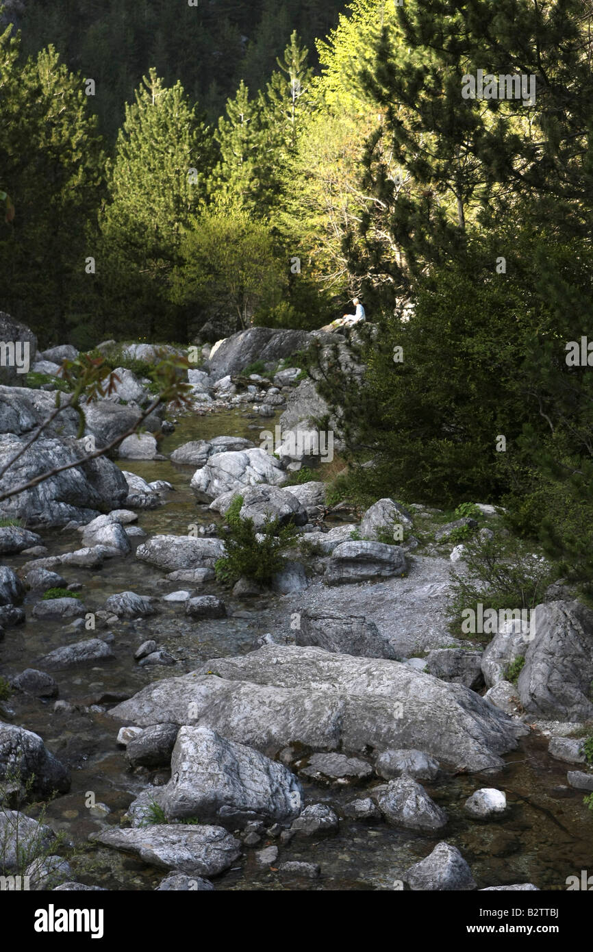 Greece Macedonia Mount Olympus National Park water flowing in a river ...