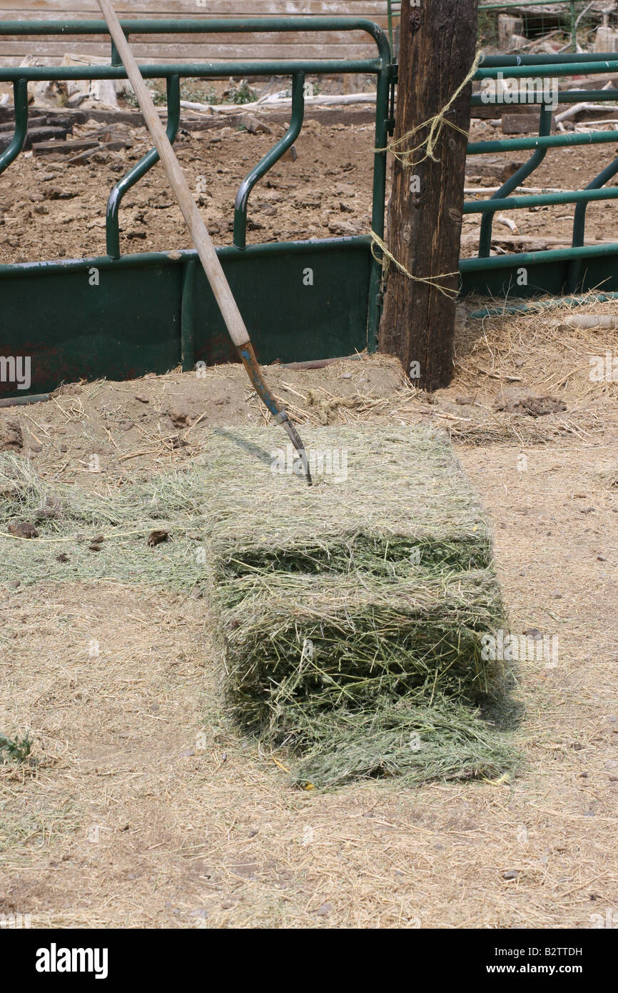 Hay bale with pitch fork pitchfork hi-res stock photography and images ...