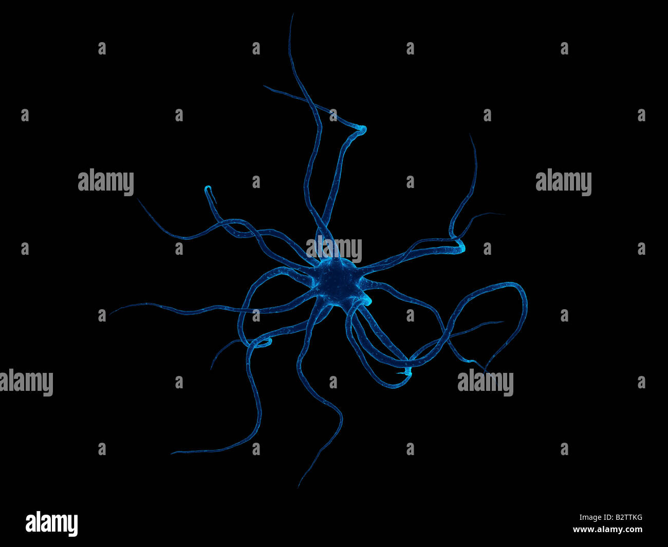 Neuron microscope hi-res stock photography and images - Alamy