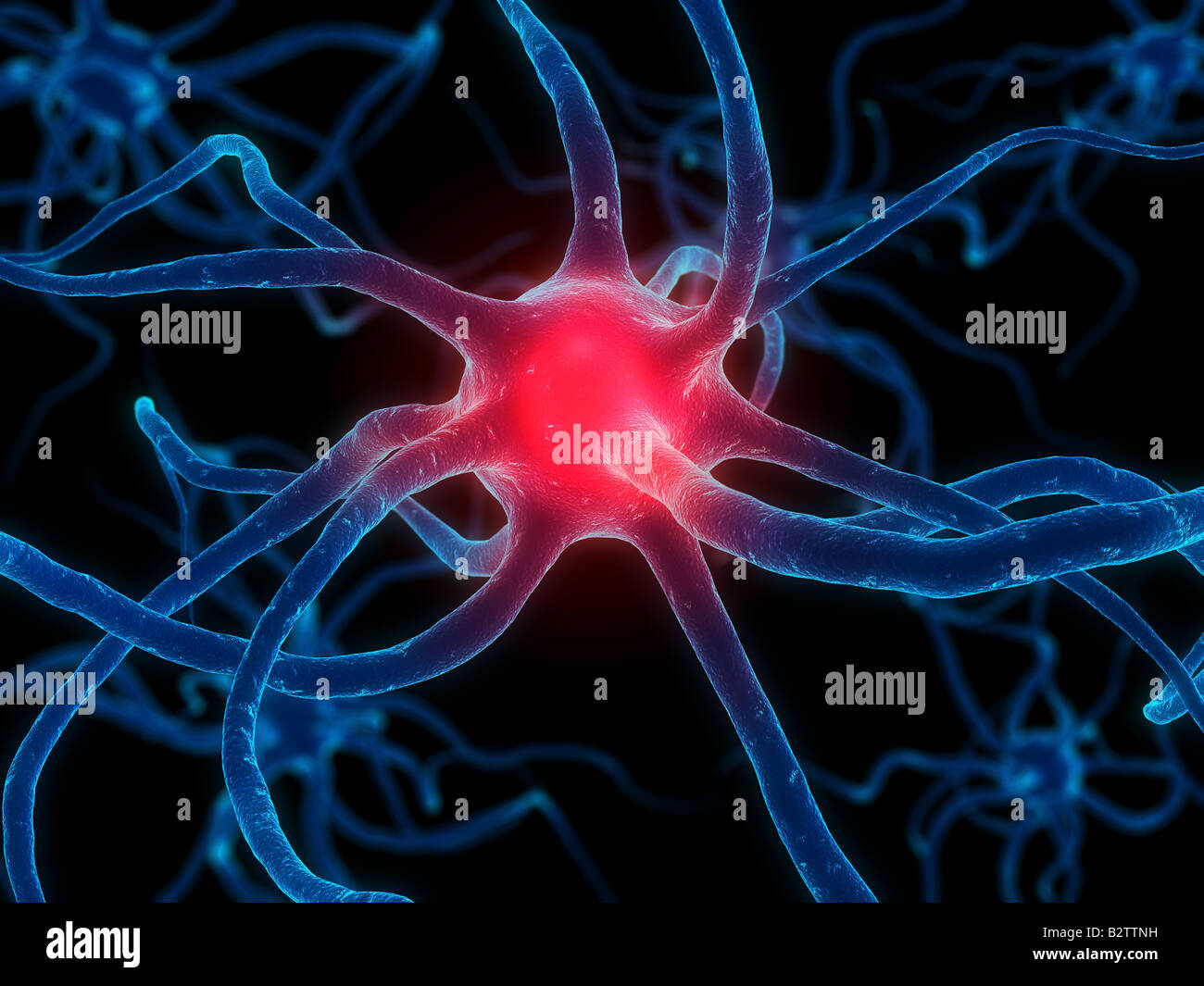 active nerve cell Stock Photo - Alamy