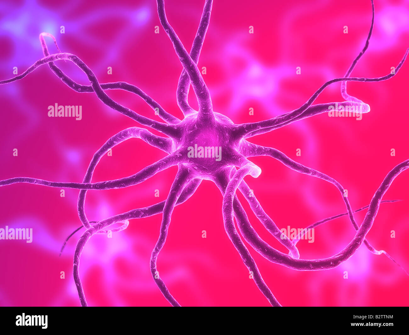 Axon hi-res stock photography and images - Alamy