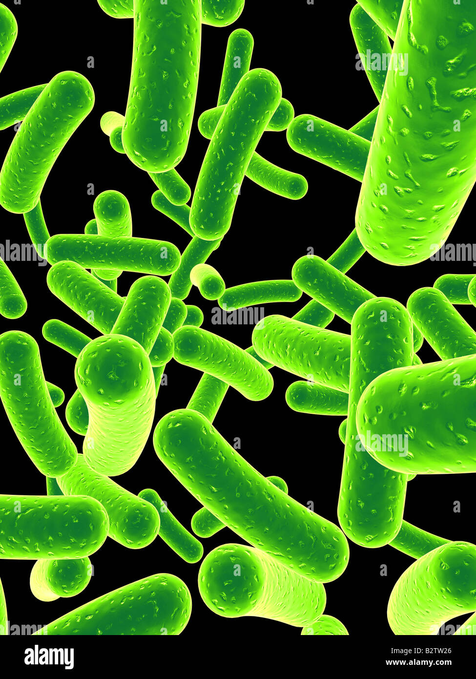 Bacteria hi-res stock photography and images - Alamy