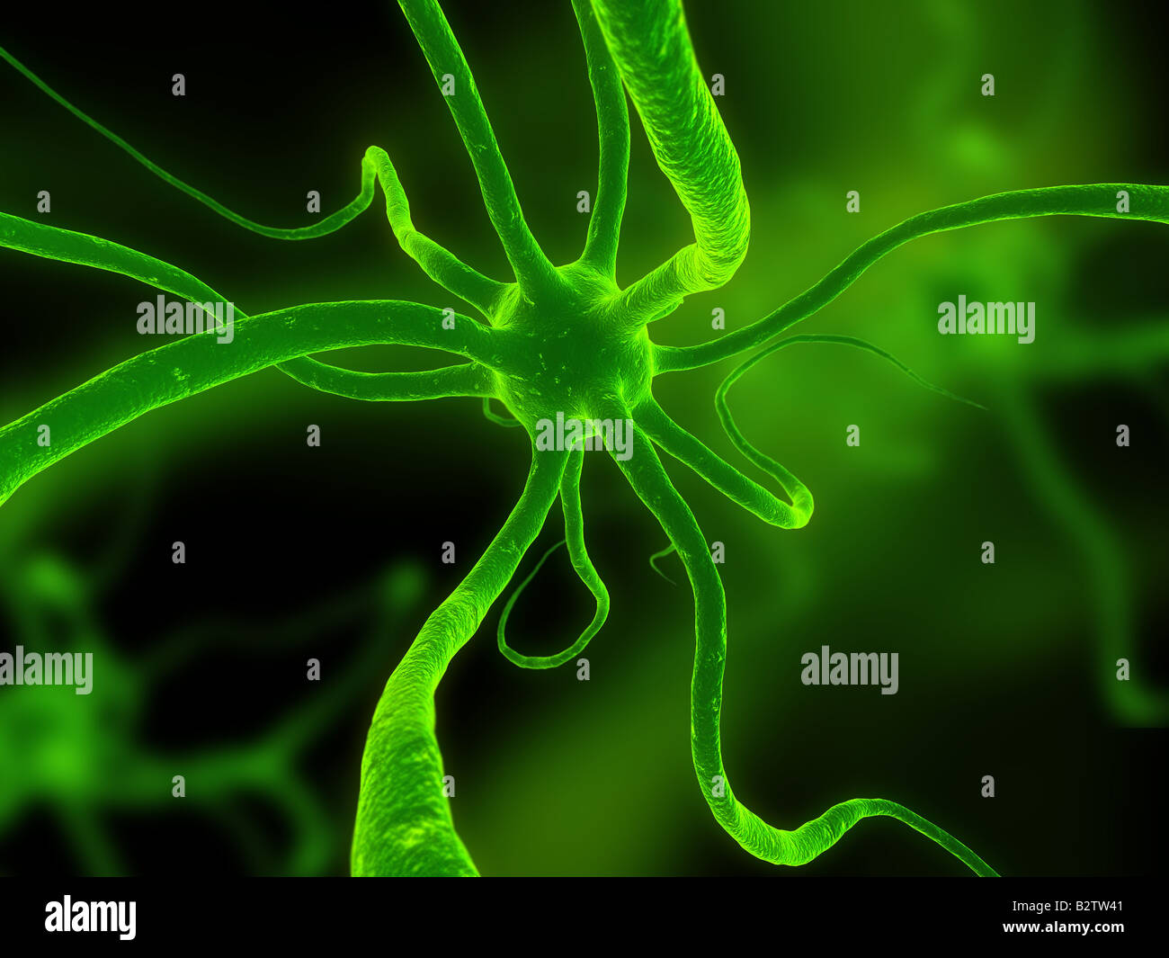 Neuron Axon Stock Photos & Neuron Axon Stock Images - Alamy