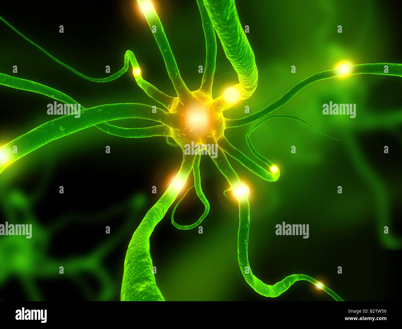 active neuron cell Stock Photo - Alamy