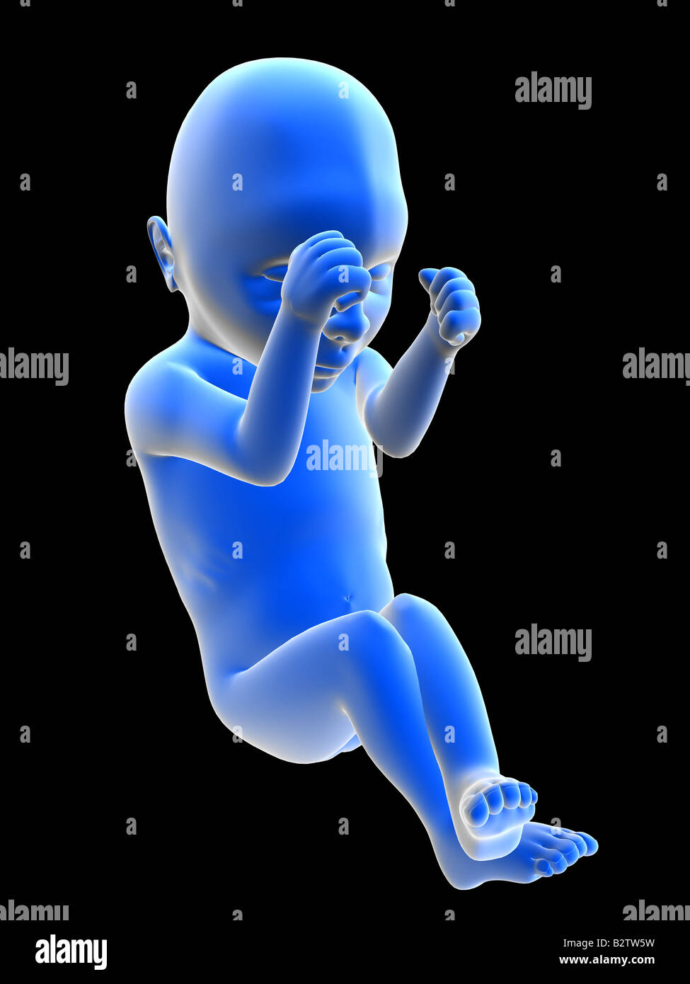 Artificial womb with human embryo hi-res stock photography and images ...