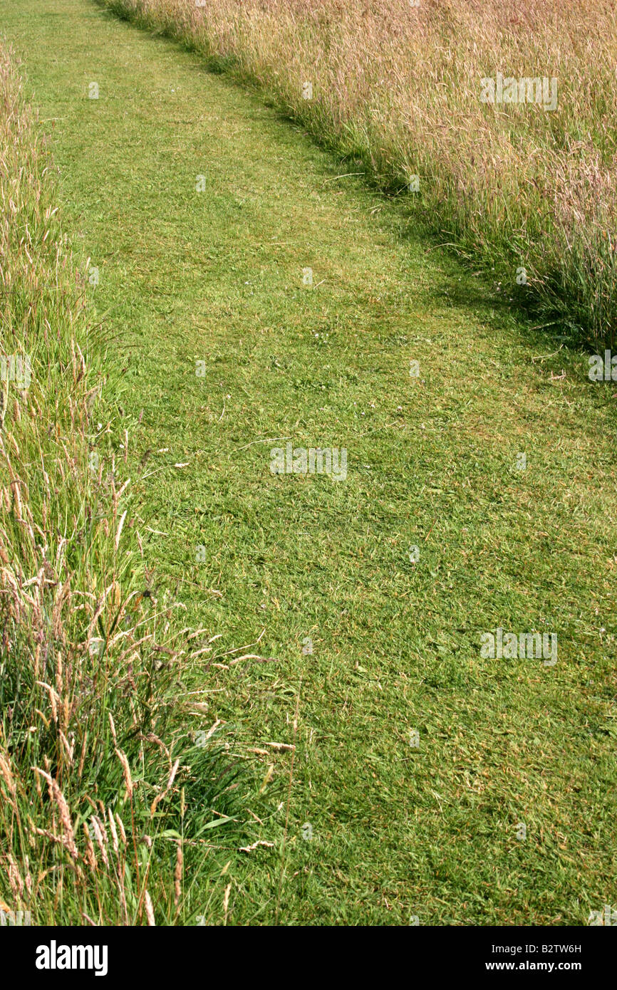 Path mown into grass hi-res stock photography and images - Alamy