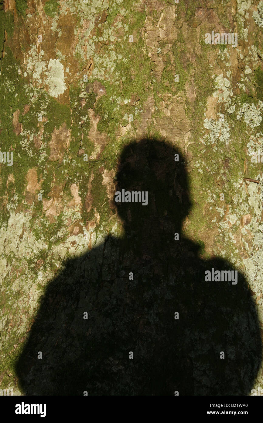 one man's shadow on tree bark in countryside Stock Photo - Alamy