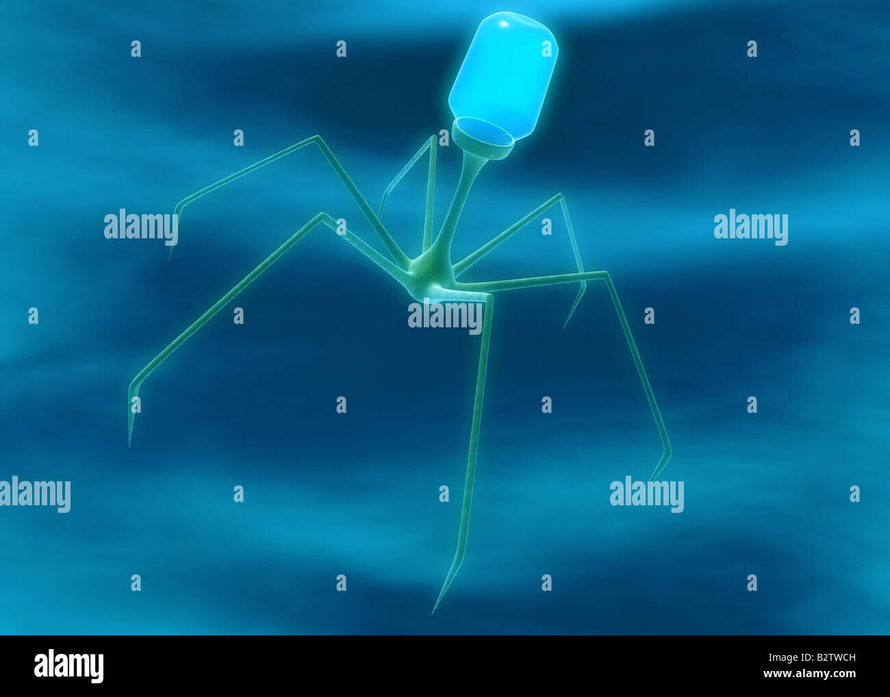 Bacteriophage Micrograph High Resolution Stock Photography and Images - Alamy