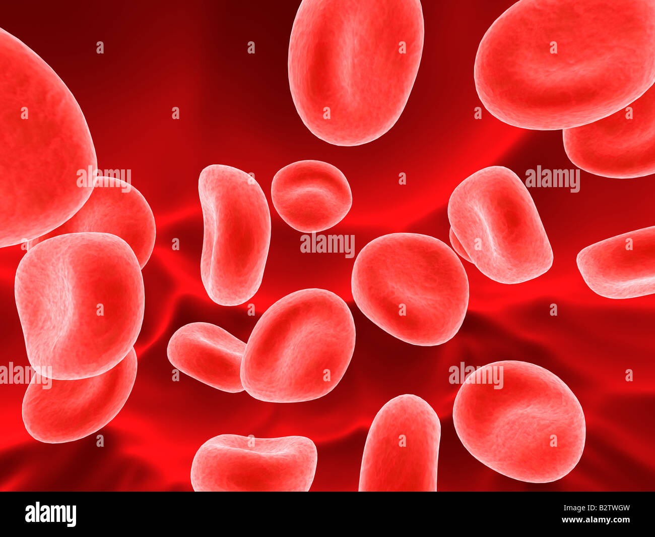 3d blood cells Stock Photo - Alamy