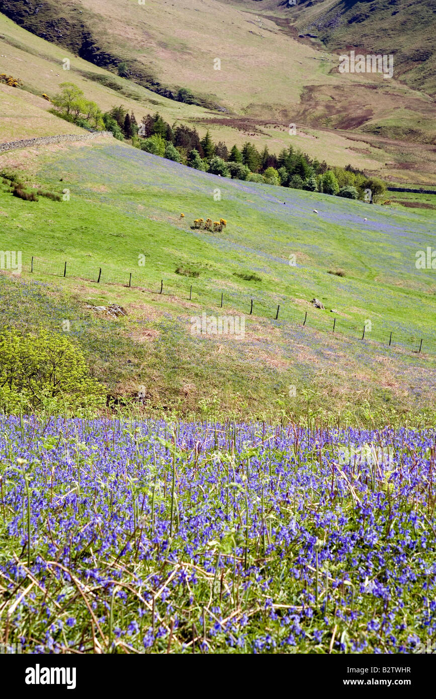 View from Rannerdale Secret Valley of the Bluebells Scenic Lake ...