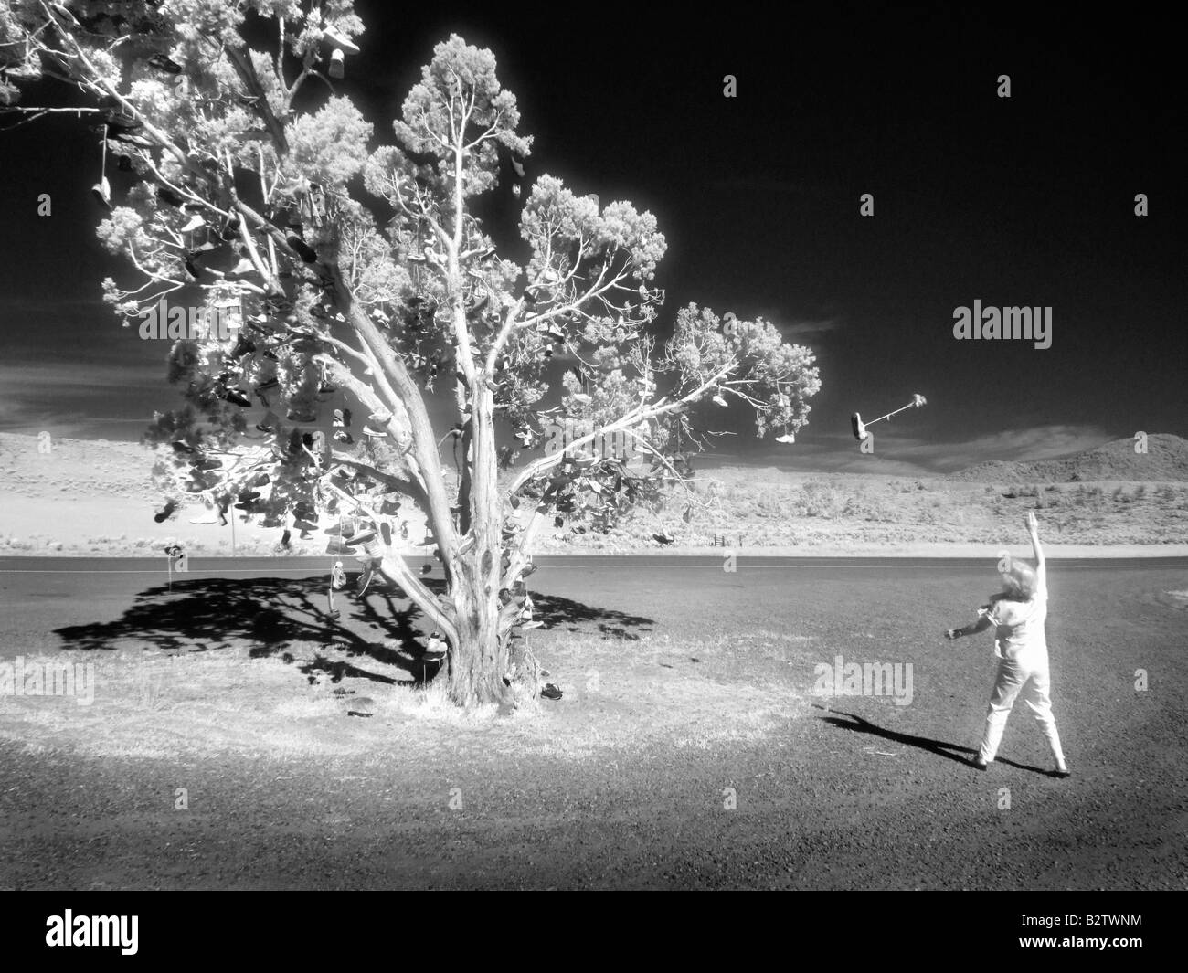 Tree bark shoes Black and White Stock Photos & Images - Alamy