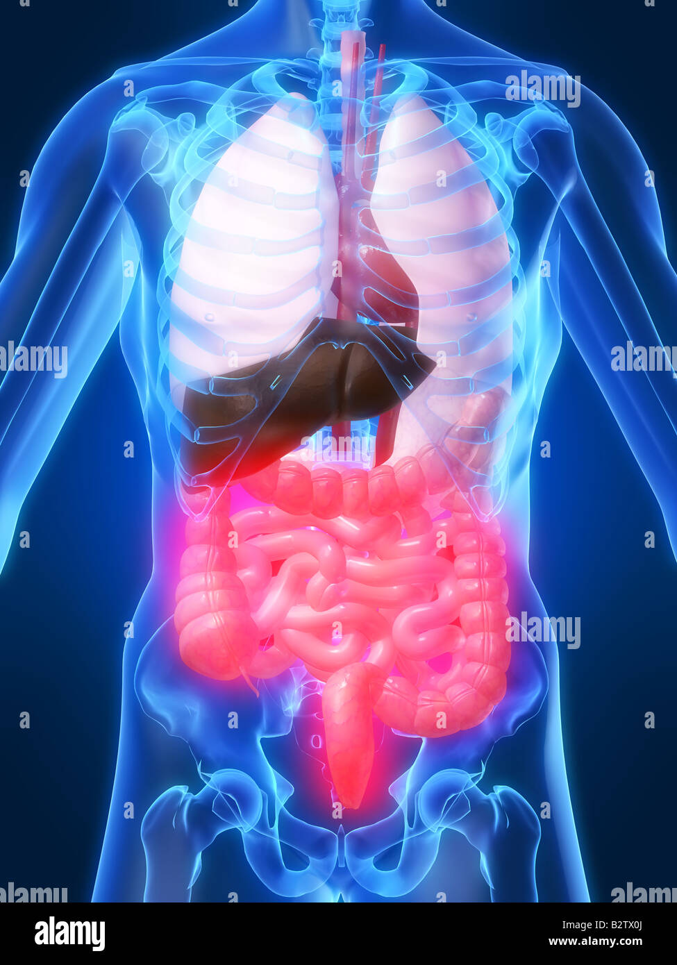 Internal pain hi-res stock photography and images - Alamy
