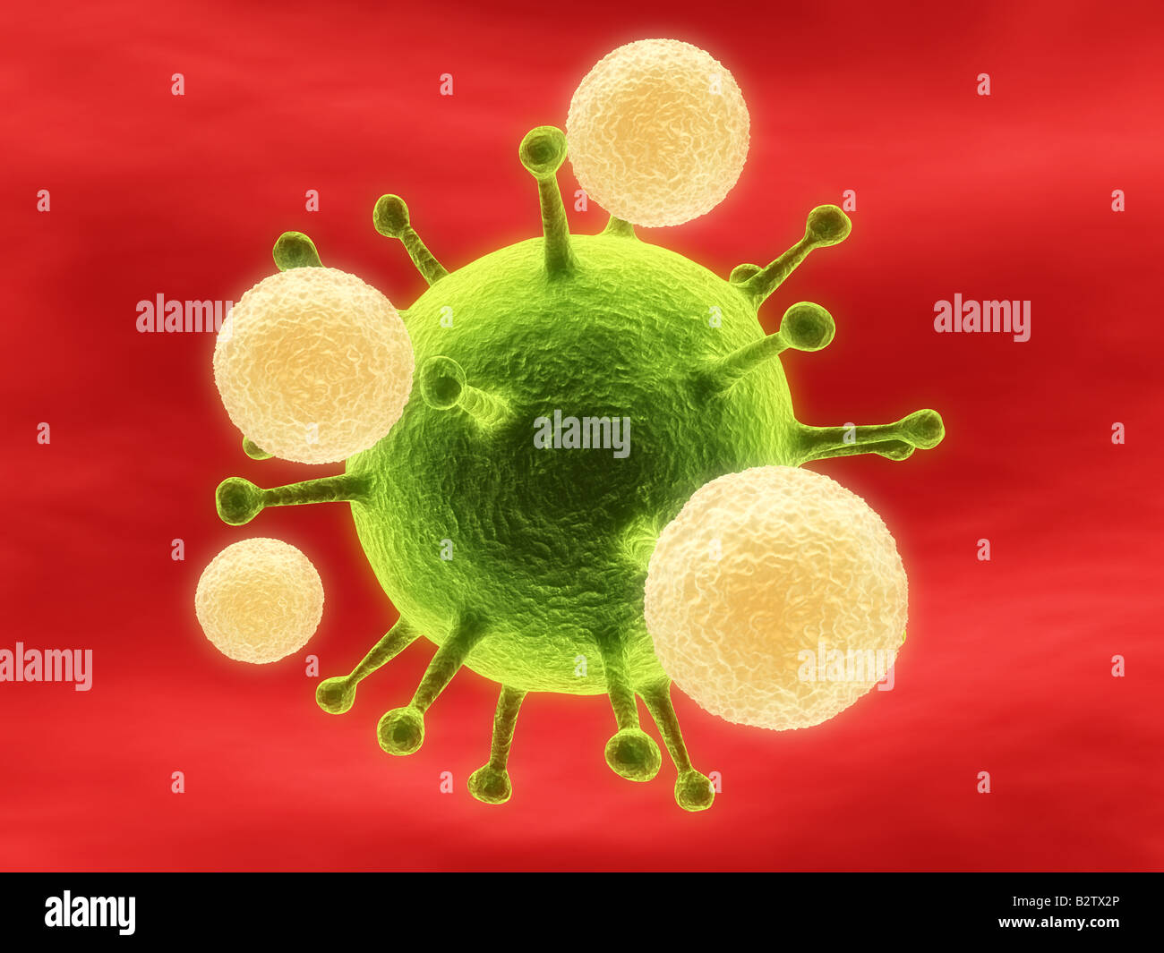 Killer cells hi-res stock photography and images - Alamy