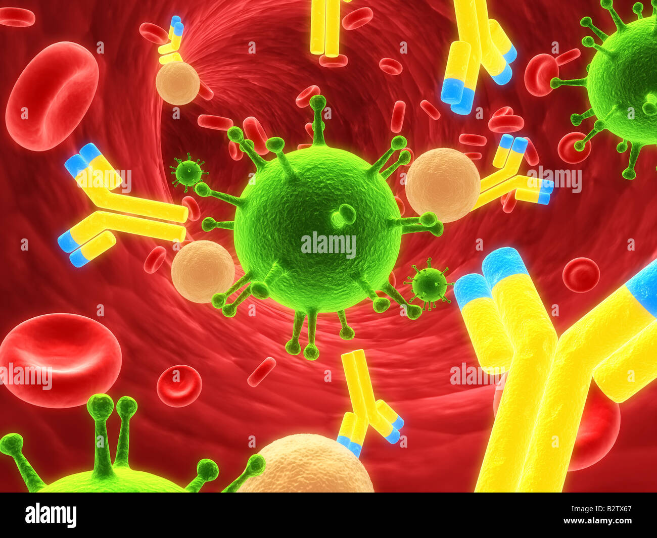 T killer cells hi-res stock photography and images - Alamy