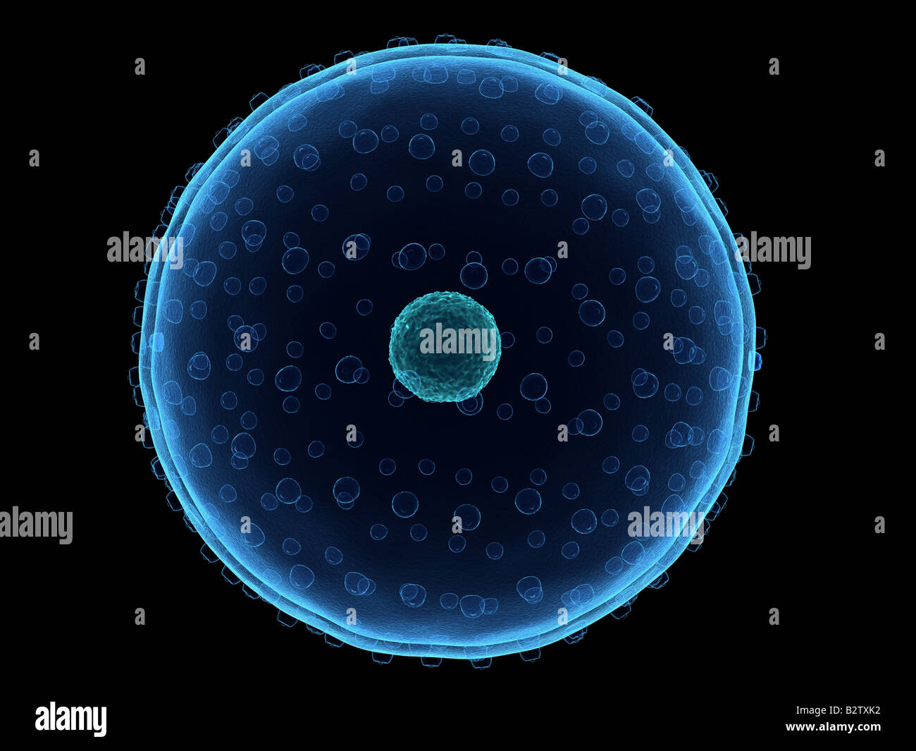 Flow cell hi-res stock photography and images - Alamy