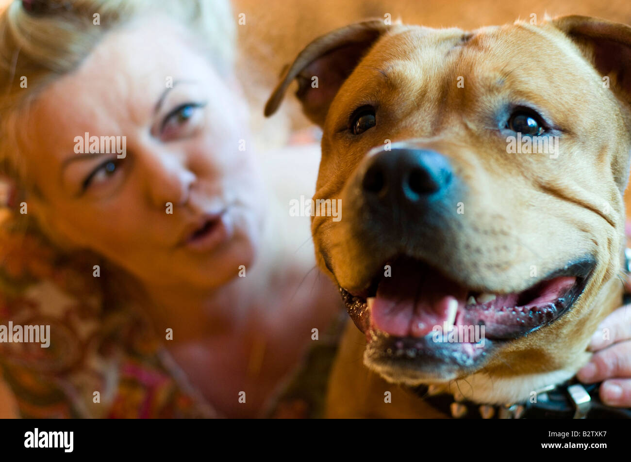 Women and her dog hi-res stock photography and images - Alamy
