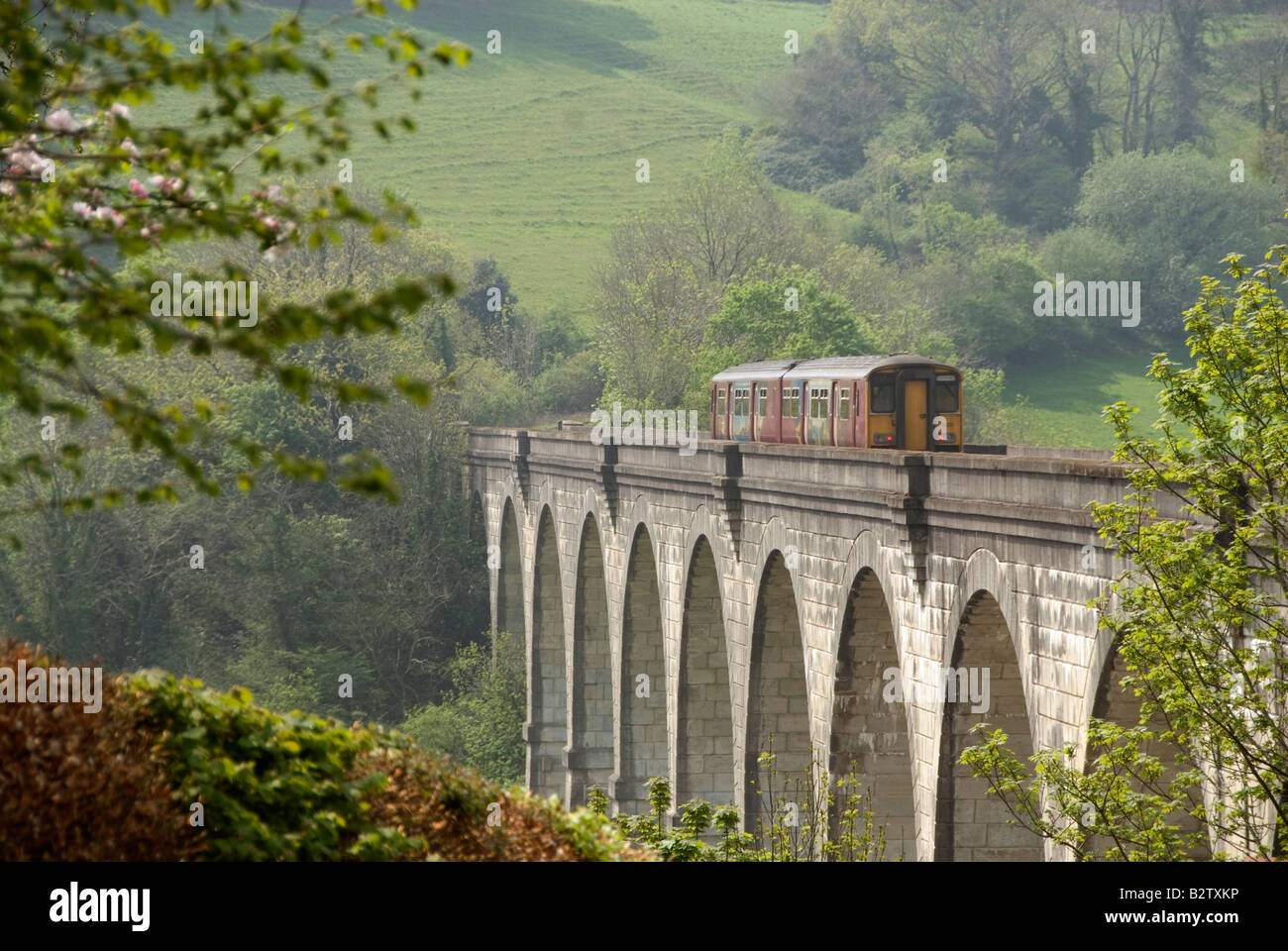 Pic By Sean Hernon A train travels over the Calstock viaduct on the ...