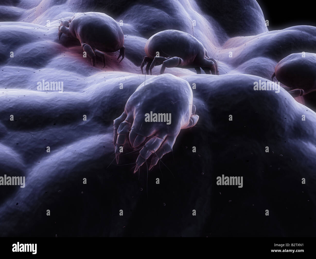 Mite scene hi-res stock photography and images - Alamy