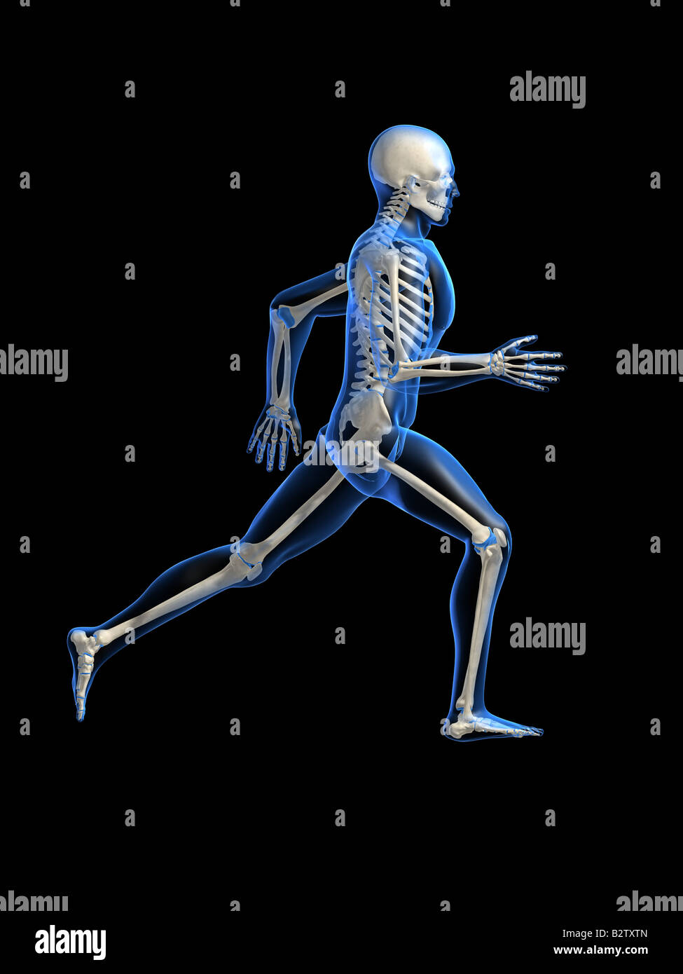 running man - anatomy Stock Photo - Alamy