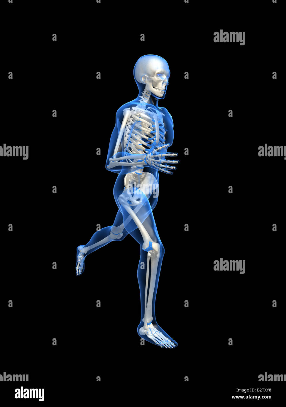 running man - anatomy Stock Photo - Alamy