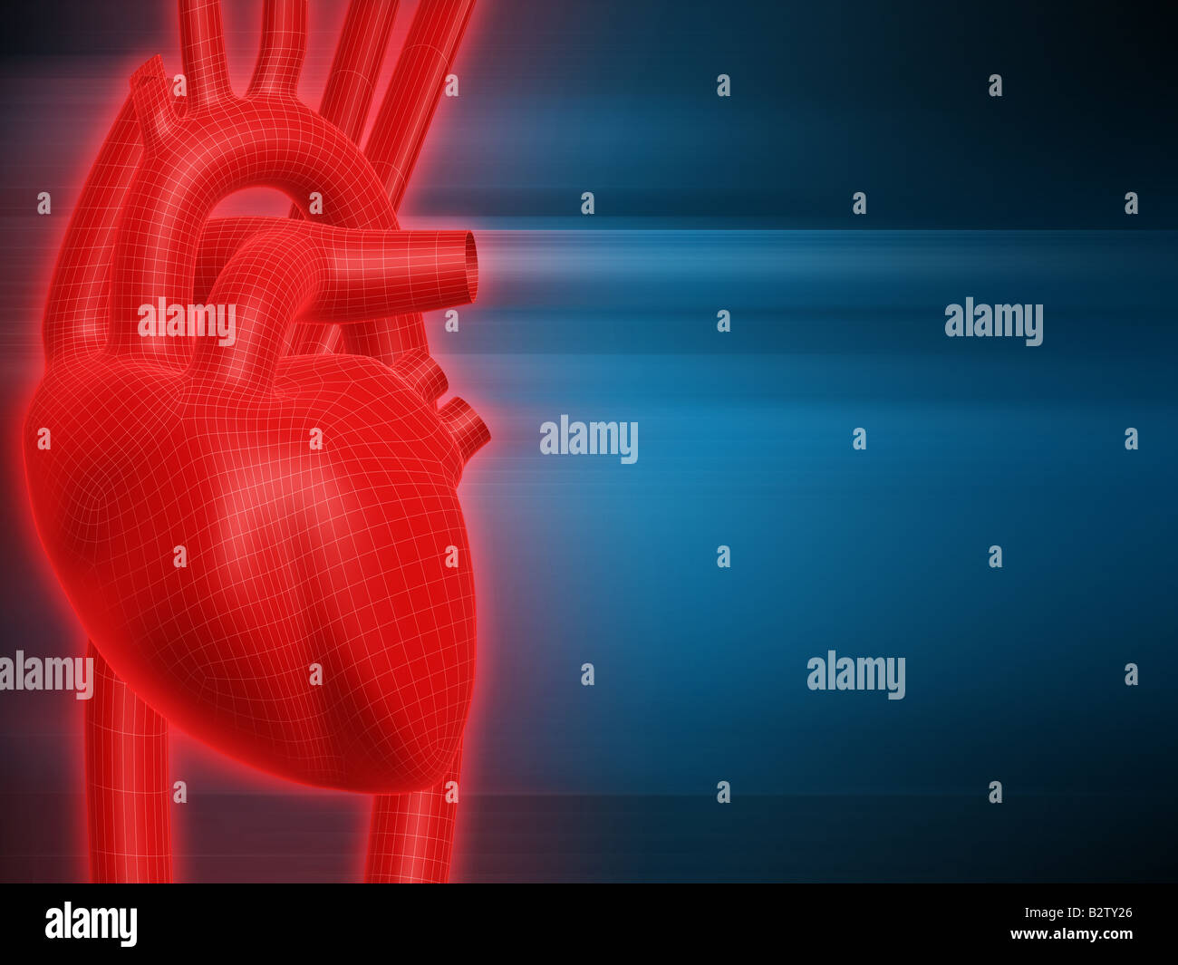 Human heart model internal hi-res stock photography and images - Alamy