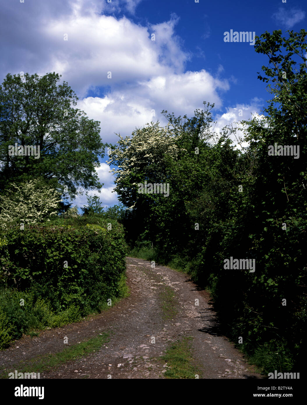 Arnside silverdale hi-res stock photography and images - Alamy
