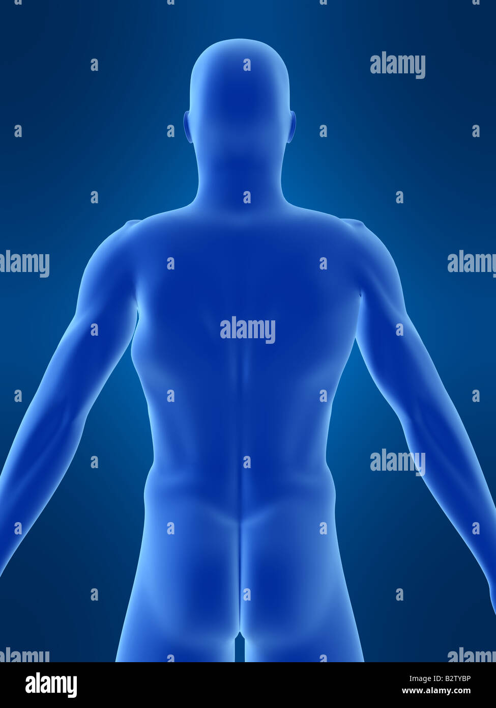 Human back hi-res stock photography and images - Alamy