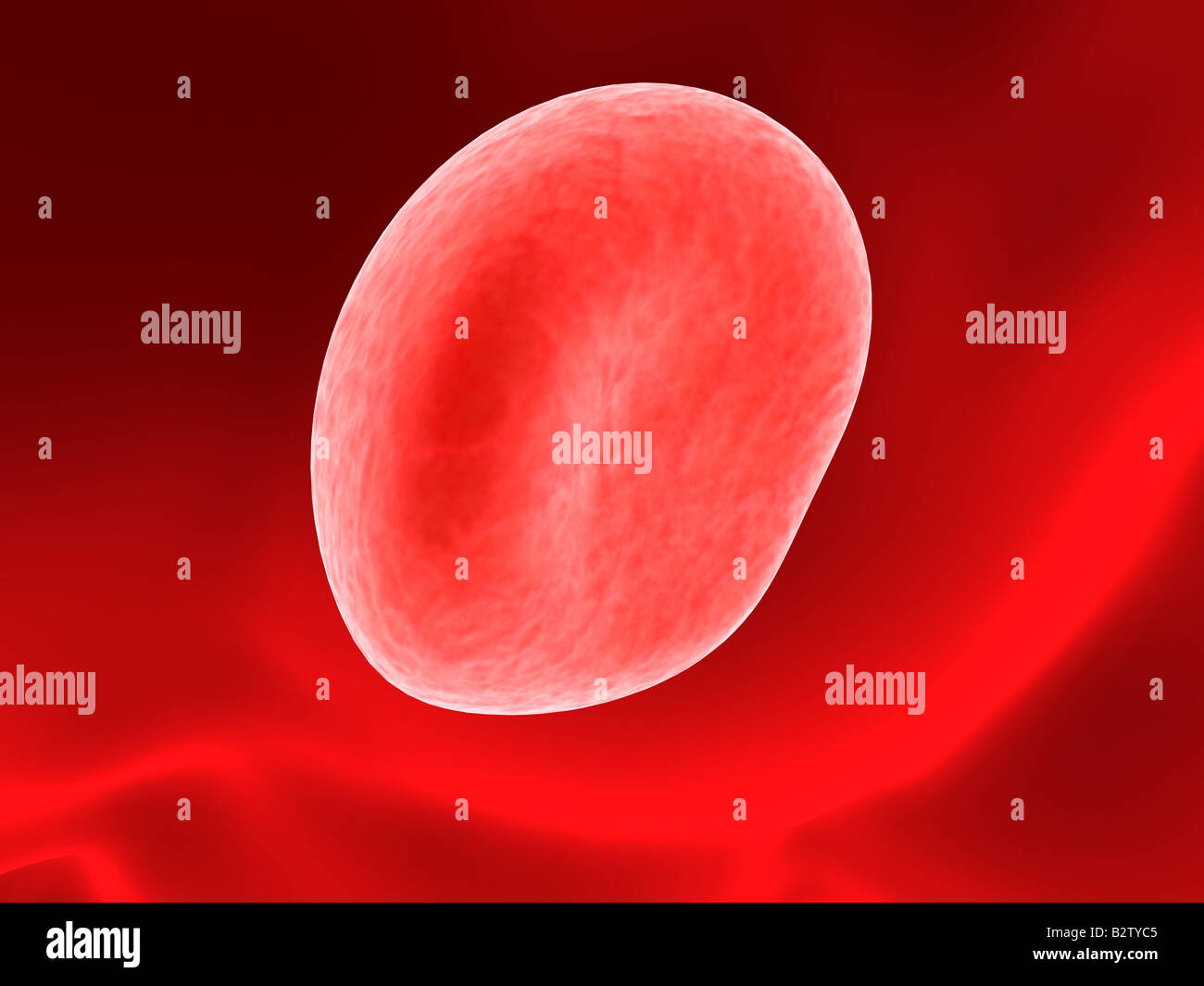 3d blood cell Stock Photo - Alamy