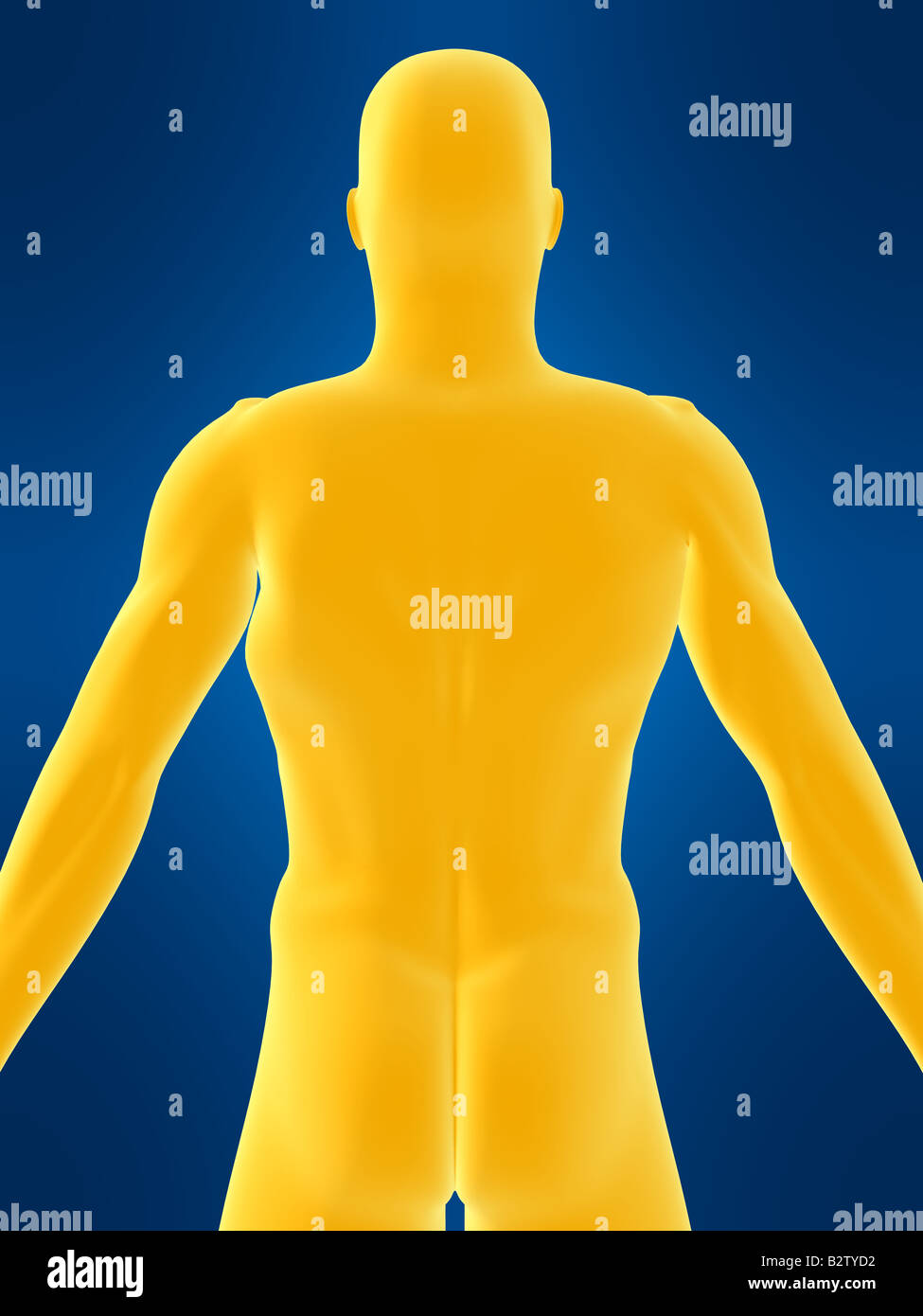 Human back hi-res stock photography and images - Alamy