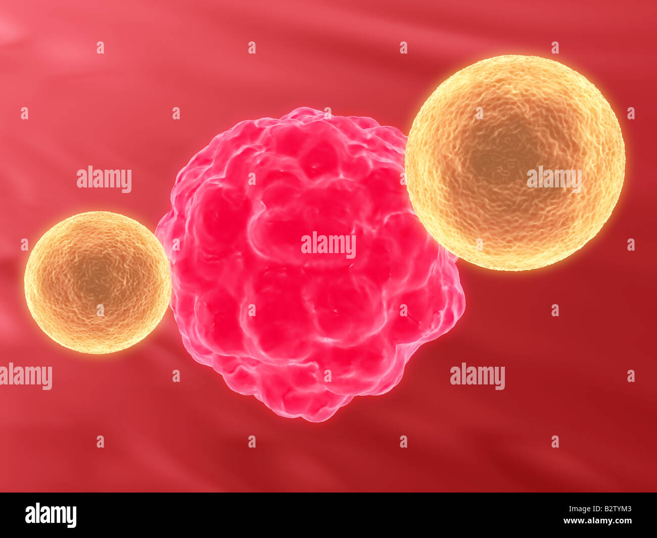 Cancer microbe hi-res stock photography and images - Alamy