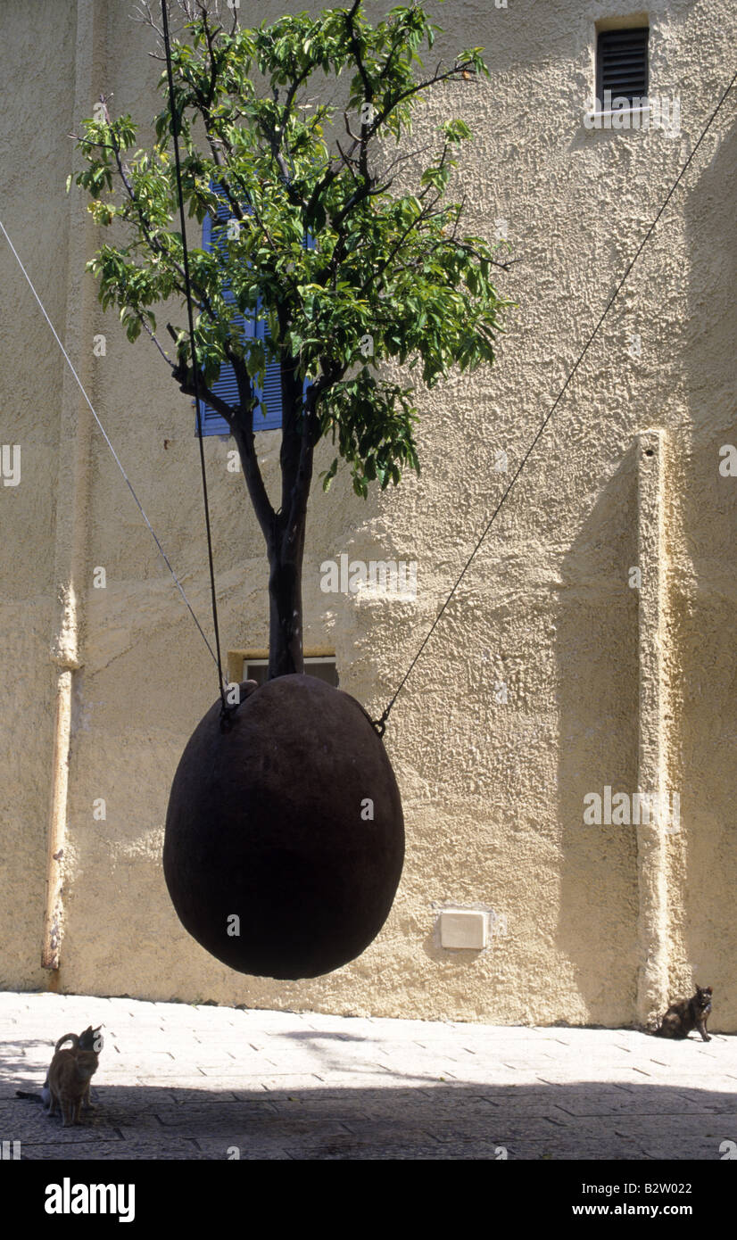 Old Jaffa town Hanging tree Big round base root suspended on wires ...