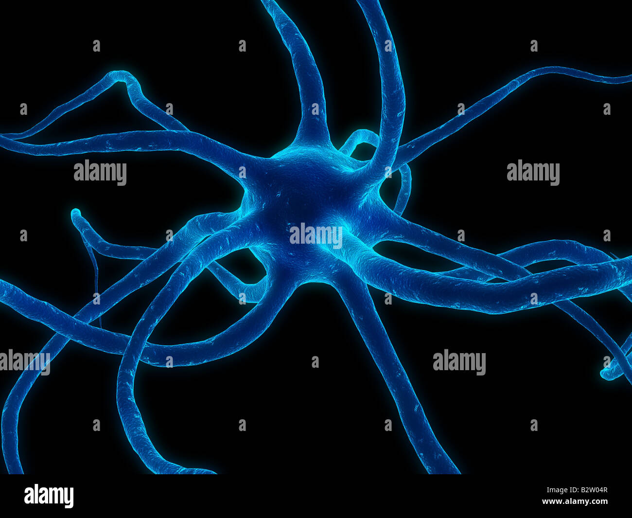 Neuron Receptor Axon High Resolution Stock Photography and Images - Alamy
