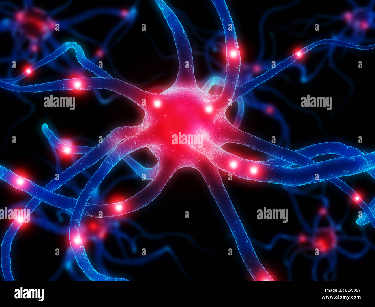 active nerve cell Stock Photo - Alamy
