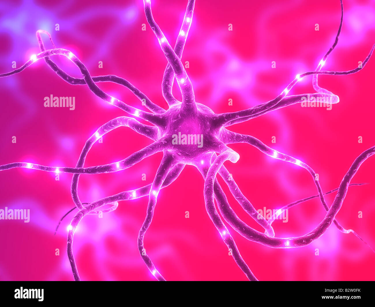 Axon hi-res stock photography and images - Alamy