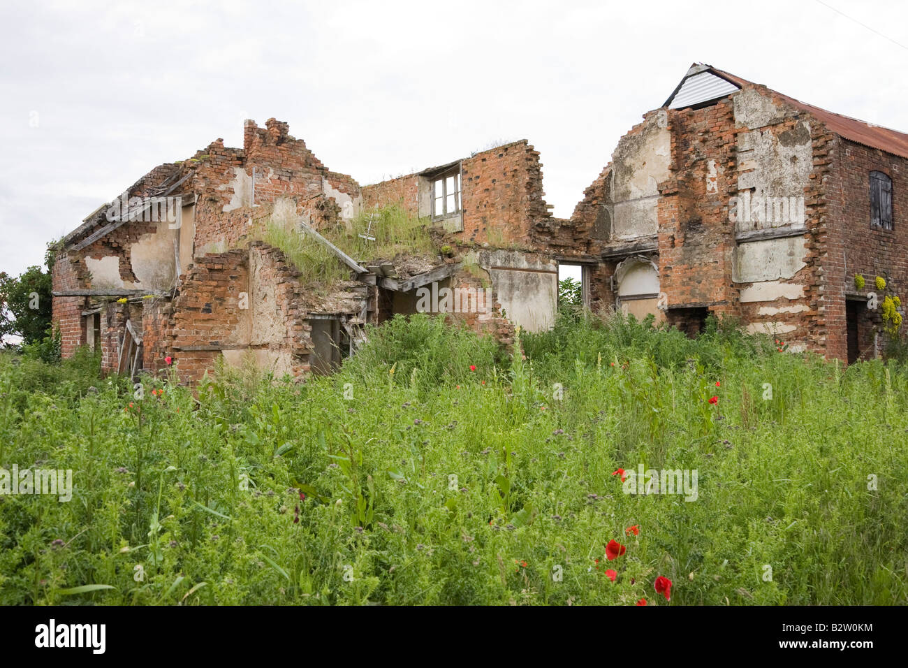 derelict fallen down house Stock Photo - Alamy