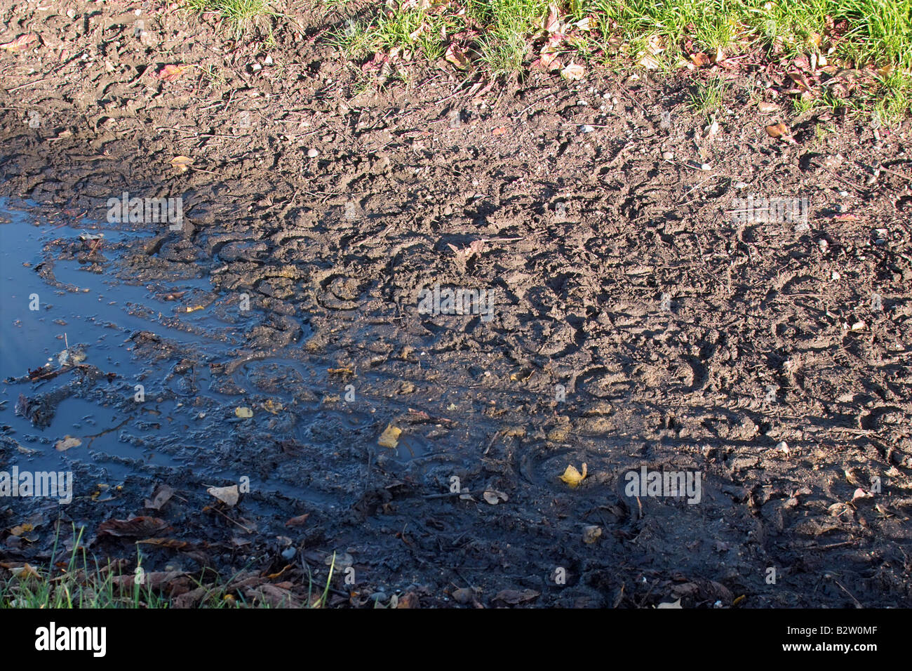 Shoe prints hi-res stock photography and images - Alamy