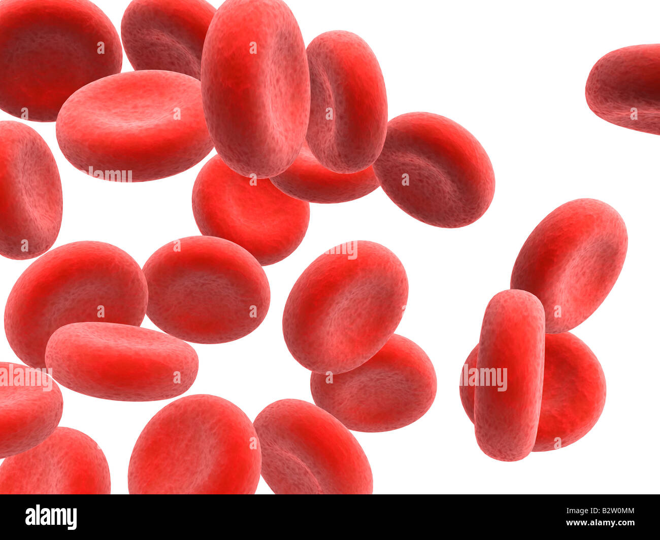 Human red blood cells hi-res stock photography and images - Alamy