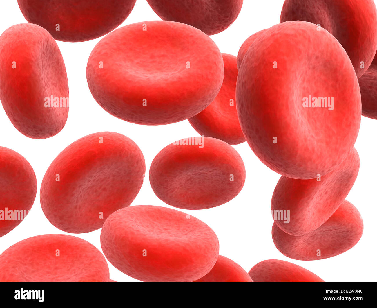 Human red blood cells hi-res stock photography and images - Alamy