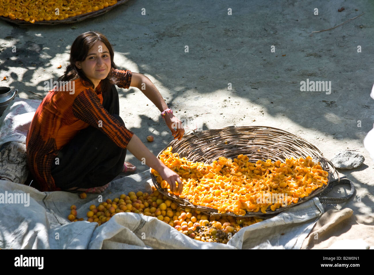 Hunza apricots pakistan hi-res stock photography and images - Alamy