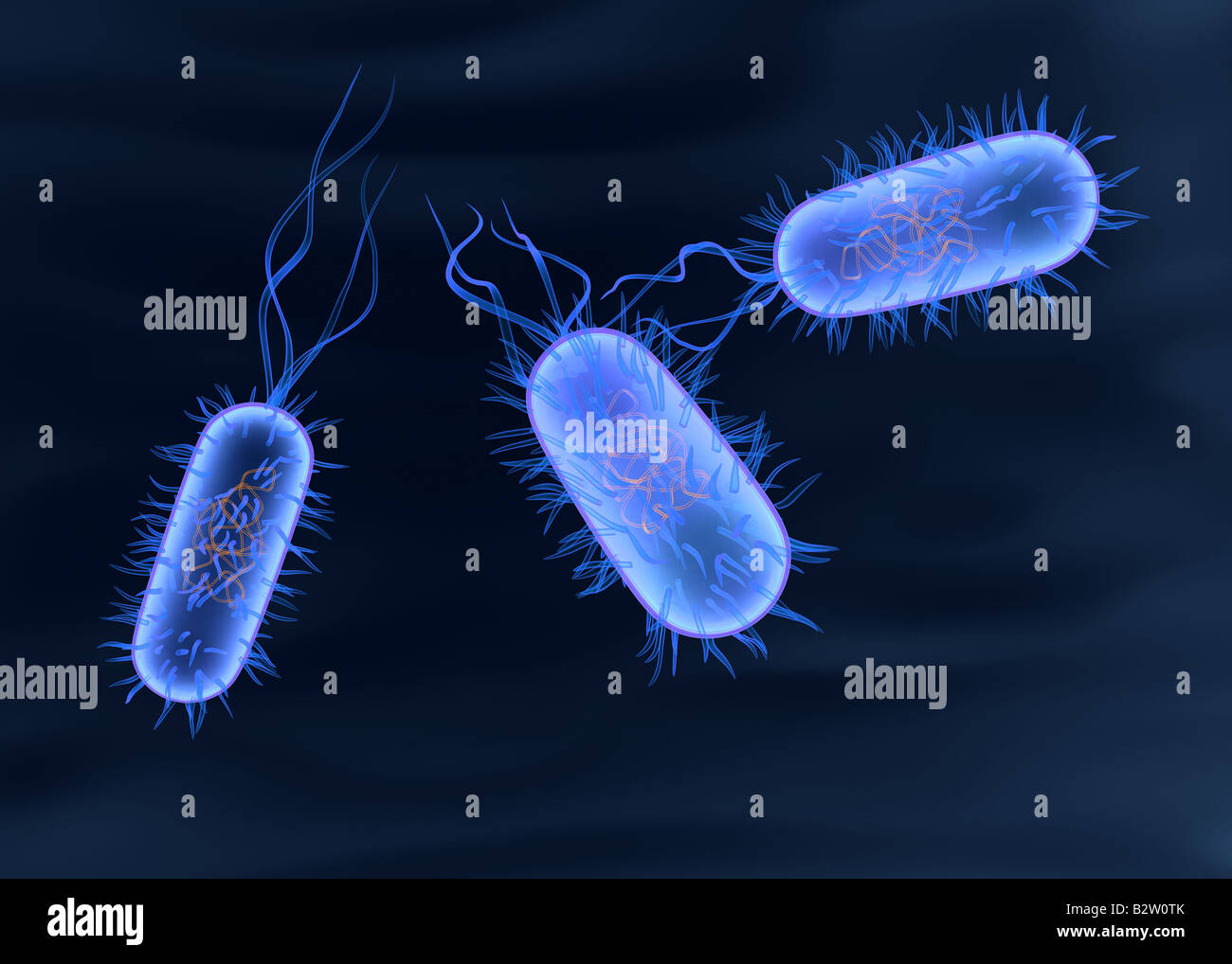 Glowing biology hi-res stock photography and images - Alamy