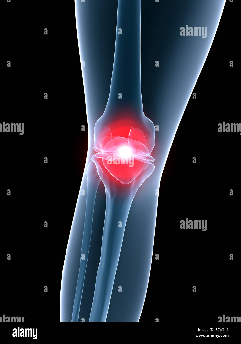 3d knee joint hi-res stock photography and images - Alamy