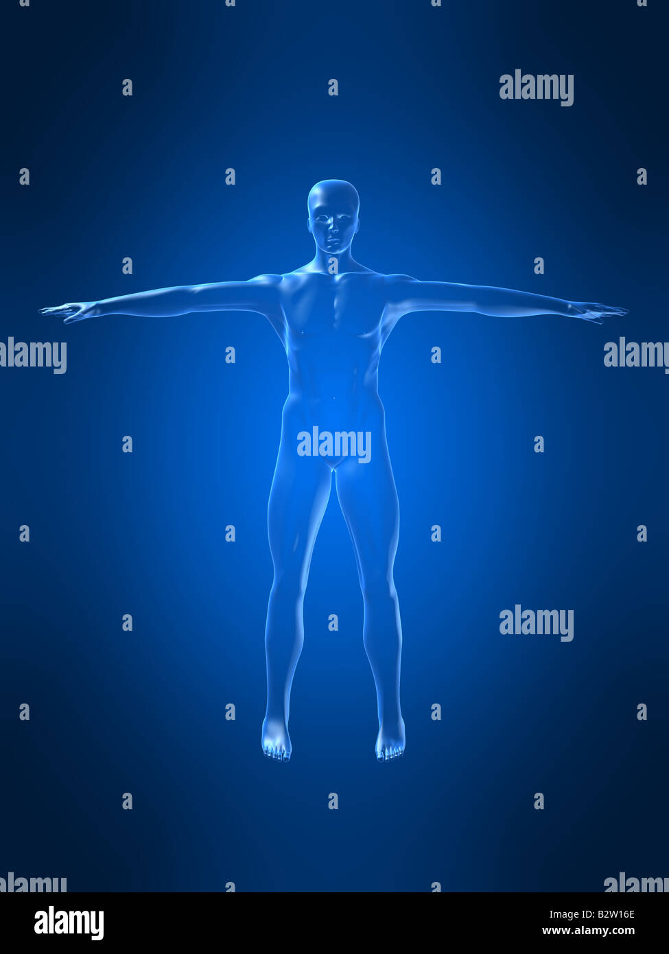 Human body biology hi-res stock photography and images - Alamy