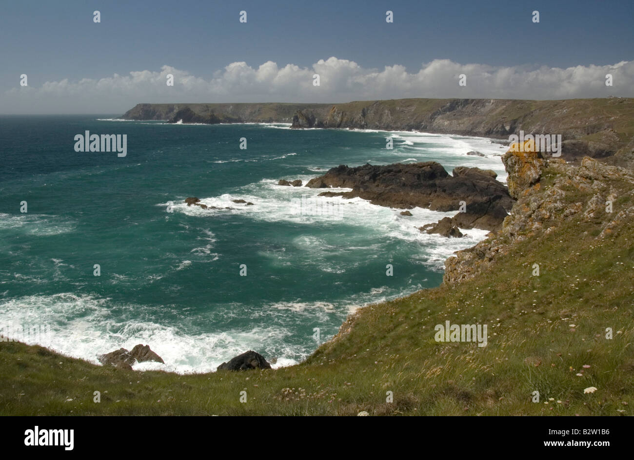 Coastal lizard hi-res stock photography and images - Alamy