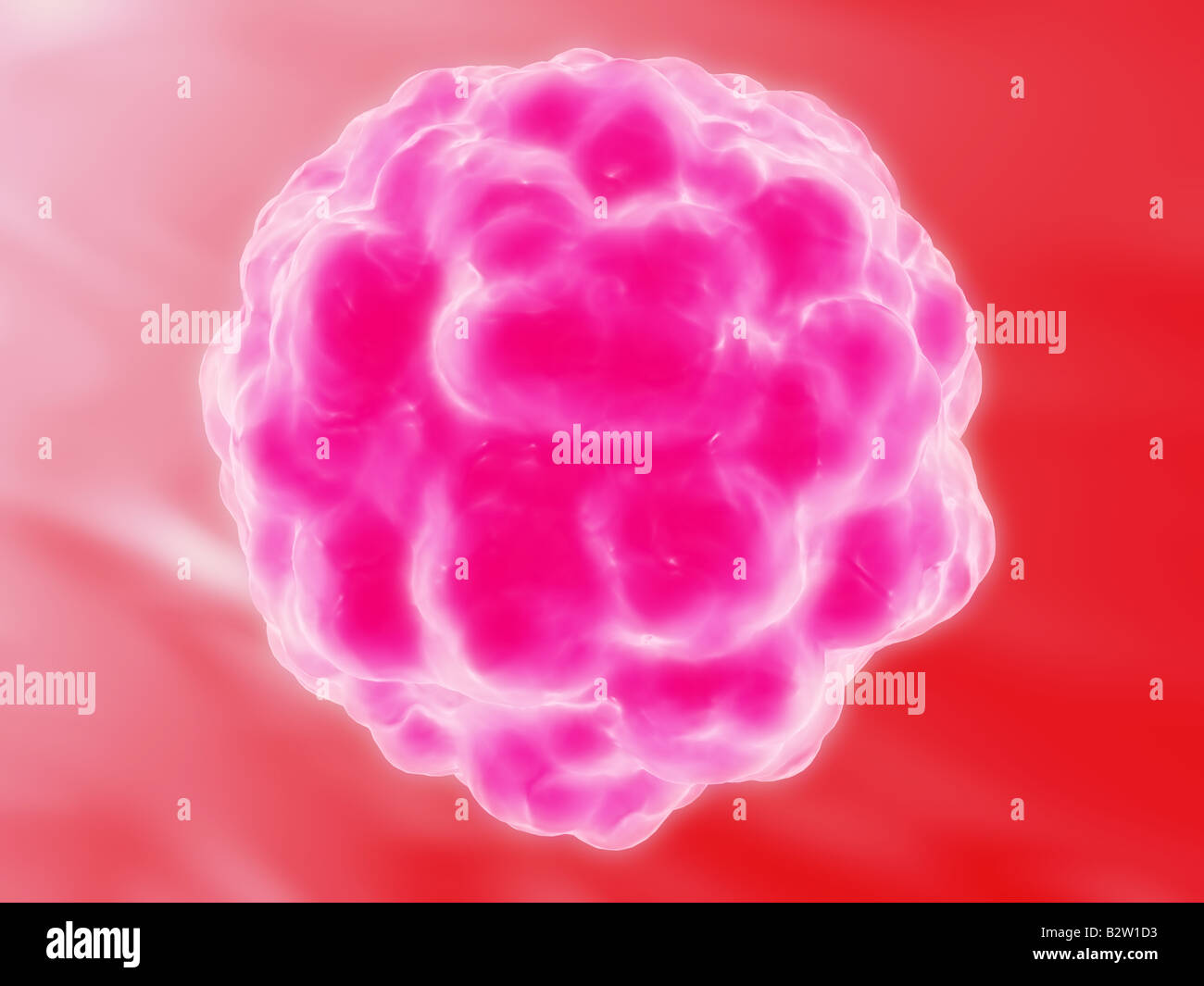Colon cancer cell hi-res stock photography and images - Alamy