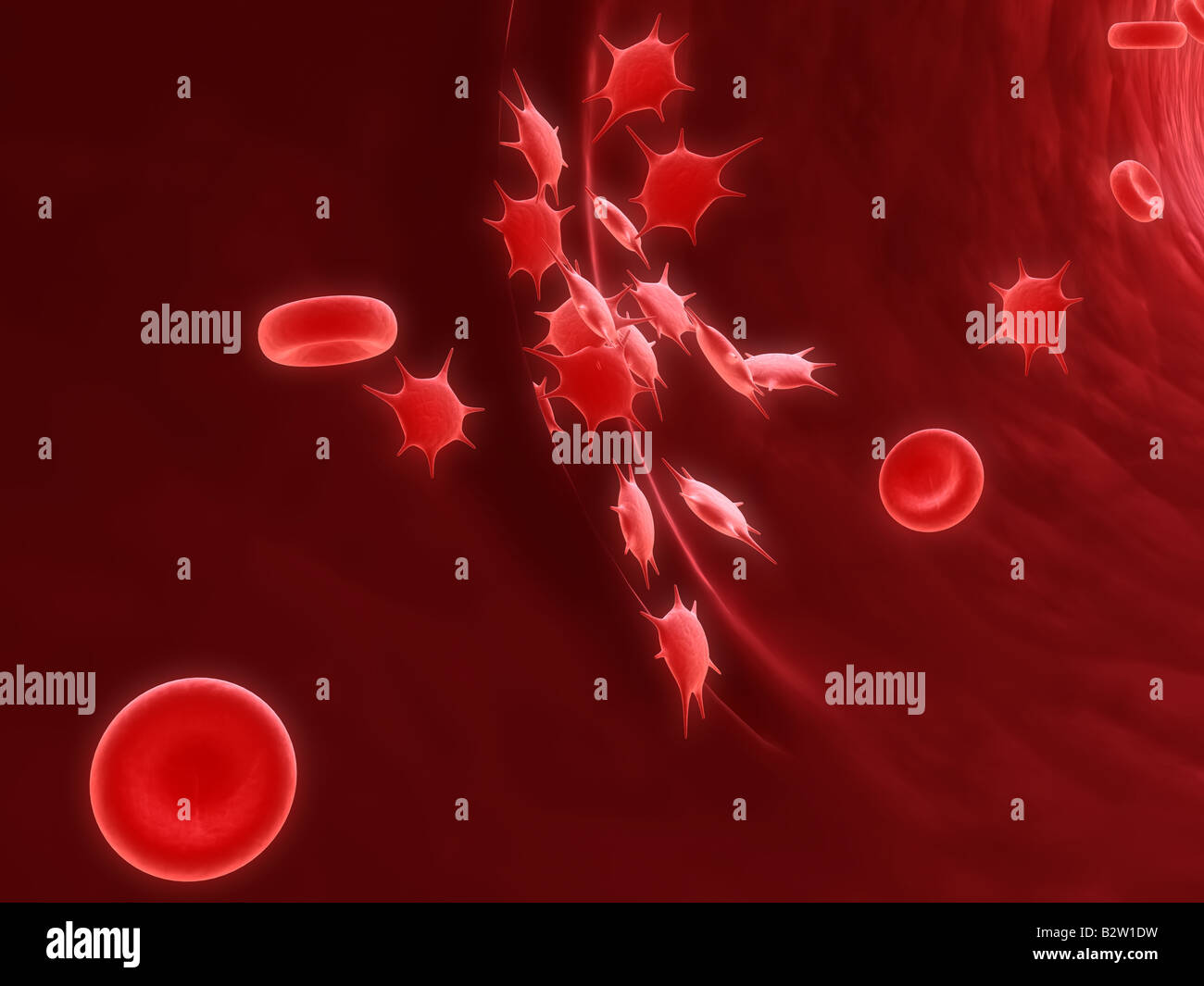 Human platelet hi-res stock photography and images - Alamy