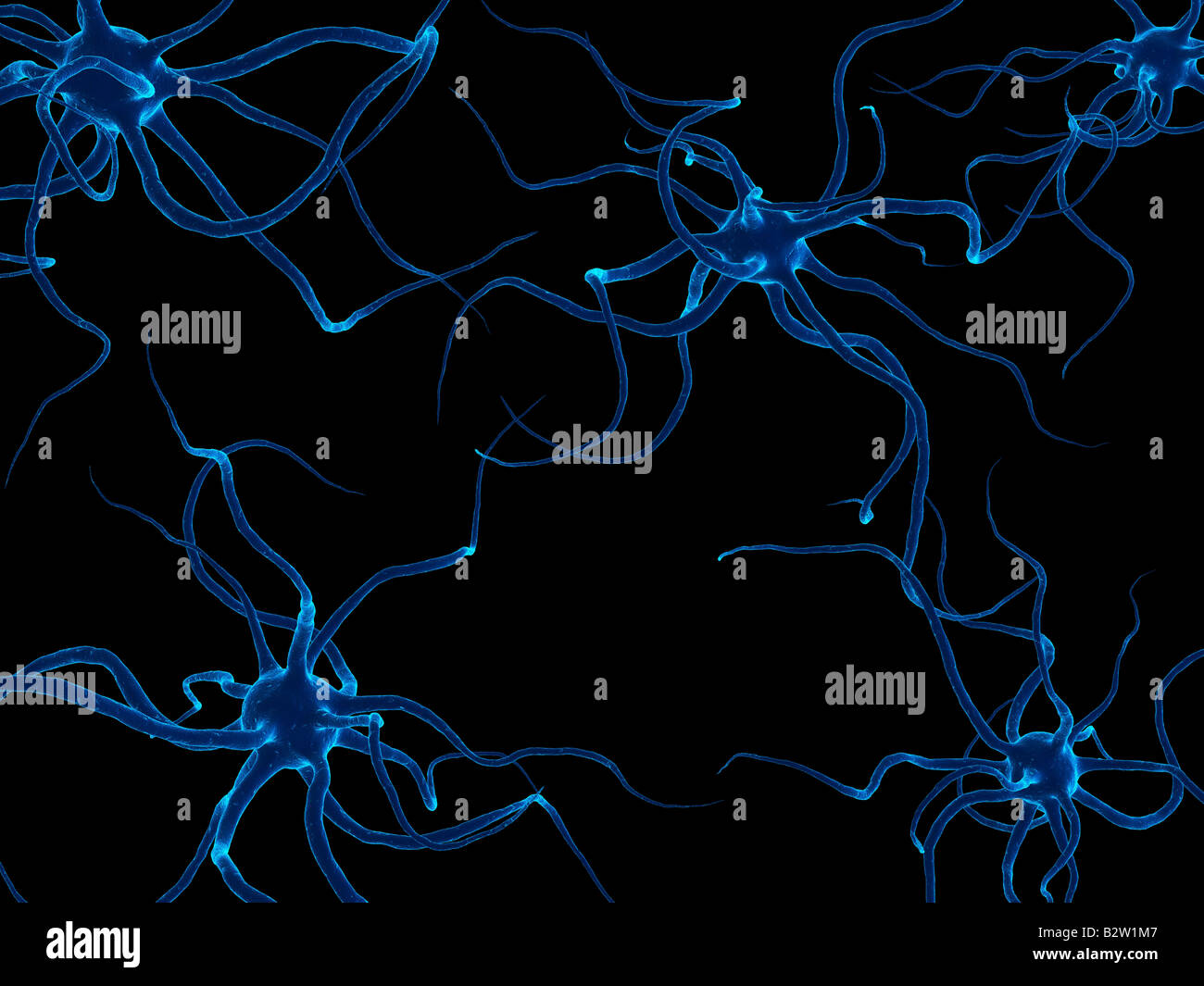 Nerve cells microscope hi-res stock photography and images - Alamy
