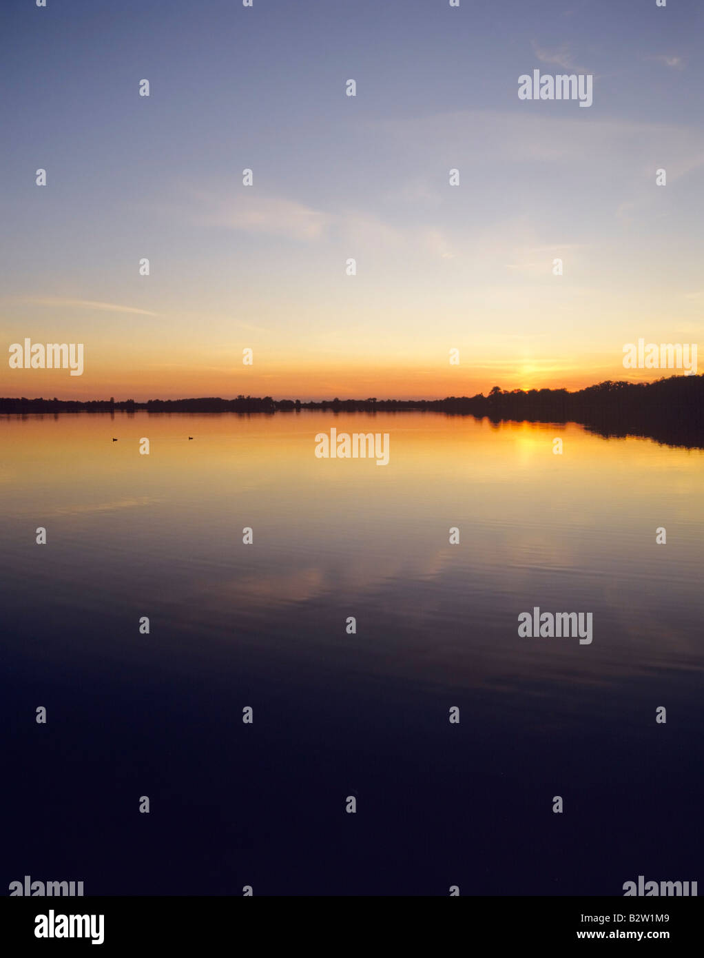 england east anglia the norfolk broads national park filby broad at ...