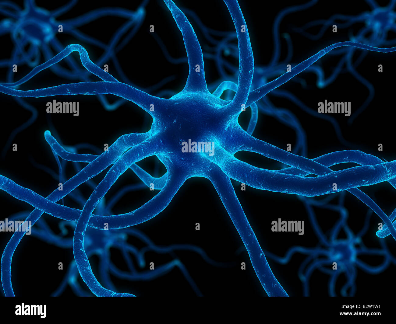 Human neuron hi-res stock photography and images - Alamy